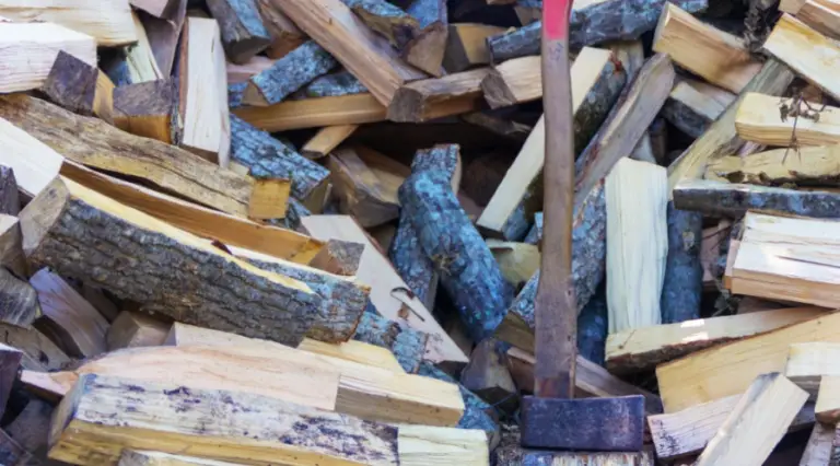 Is walnut good firewood? Find out all you need to know