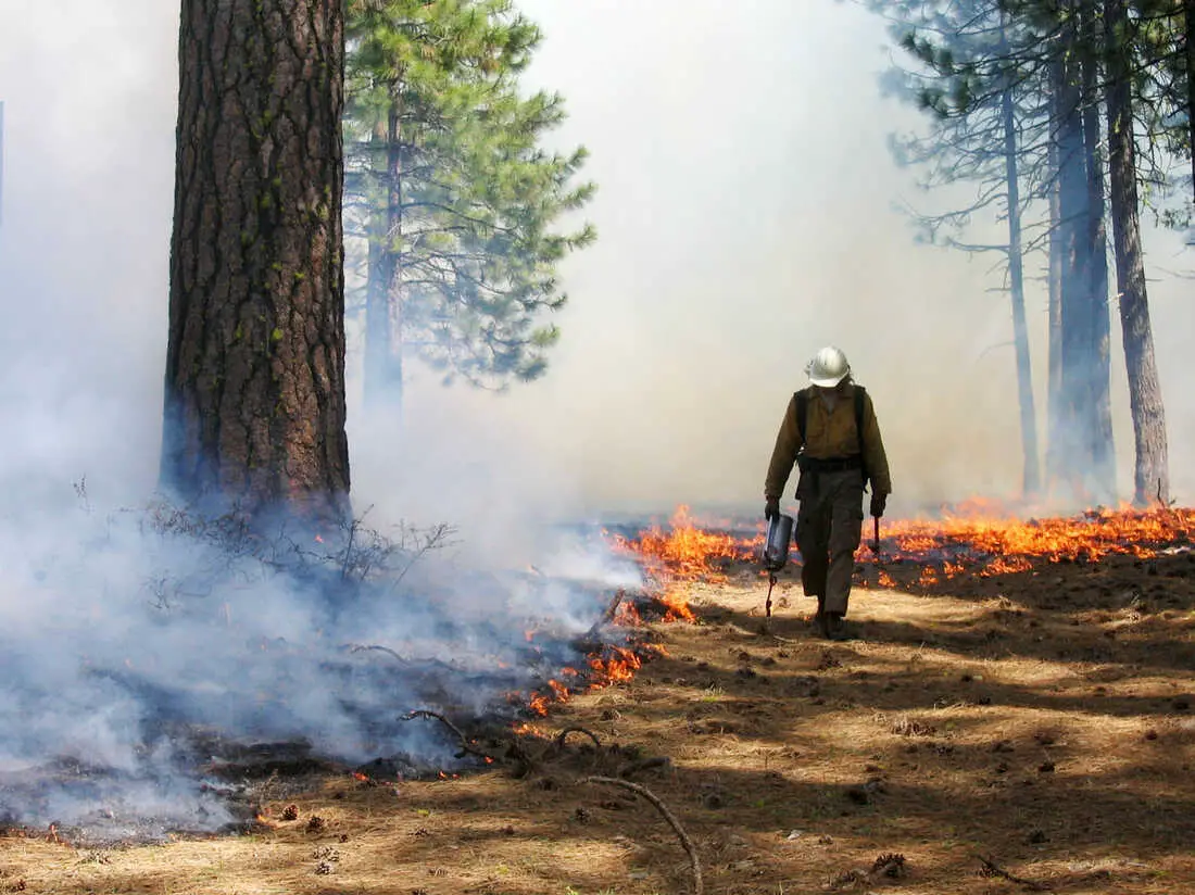 3 steps on how to do a controlled burn