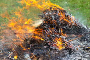 Tips on how to safely burn brush without any casualty revealed
