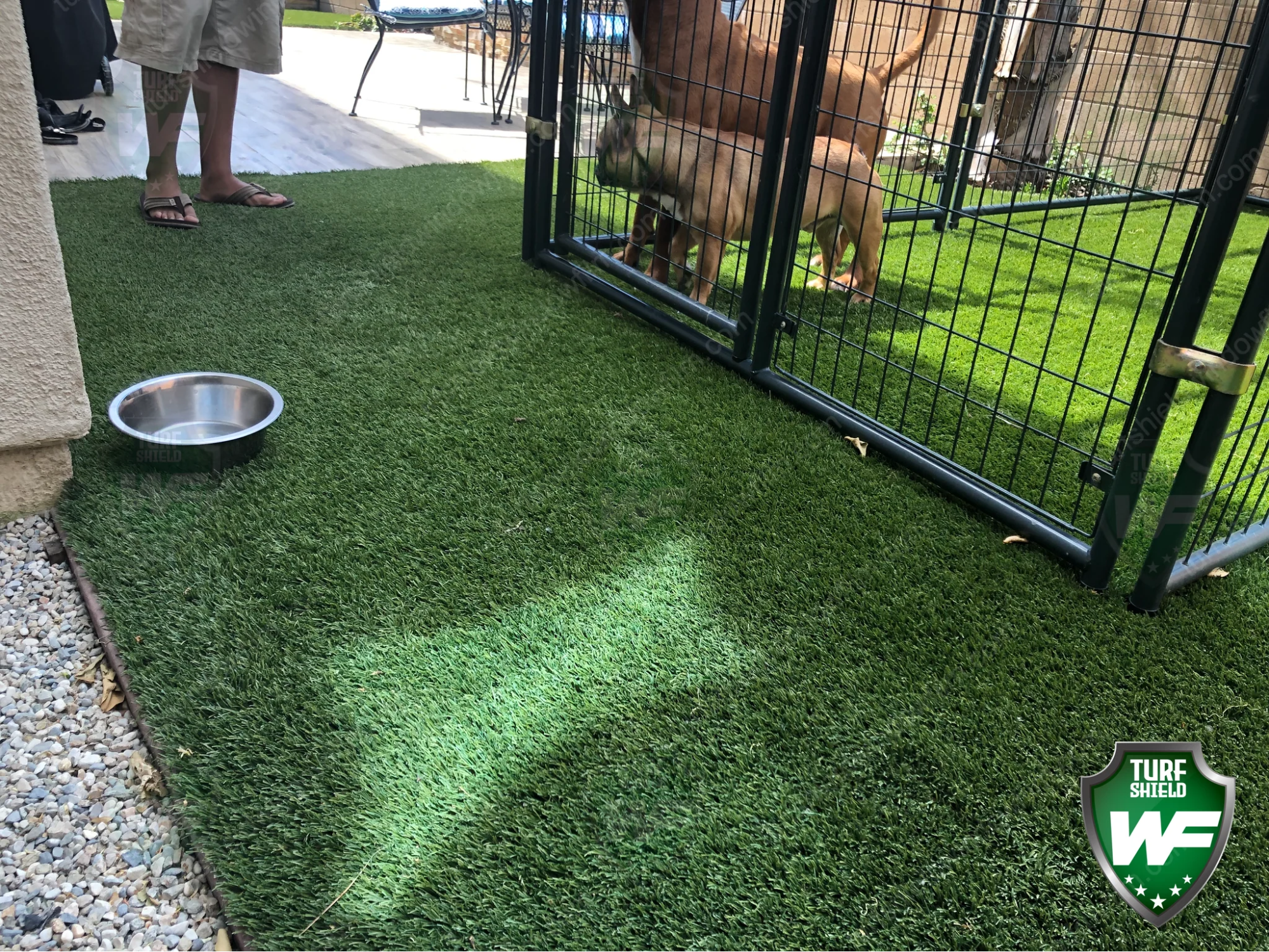 Is Turf Flammable? Answering The Burning Question! – Fire safety support