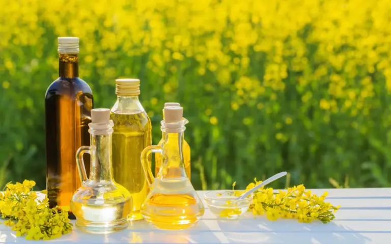 Is Canola Oil Flammable? Read And Be Safe! – Fire safety support
